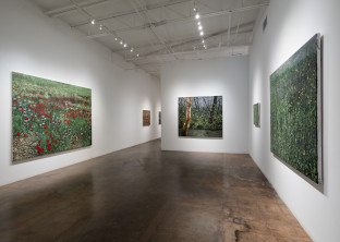 Cris Worley | Dallas Art Fair Exhibitor