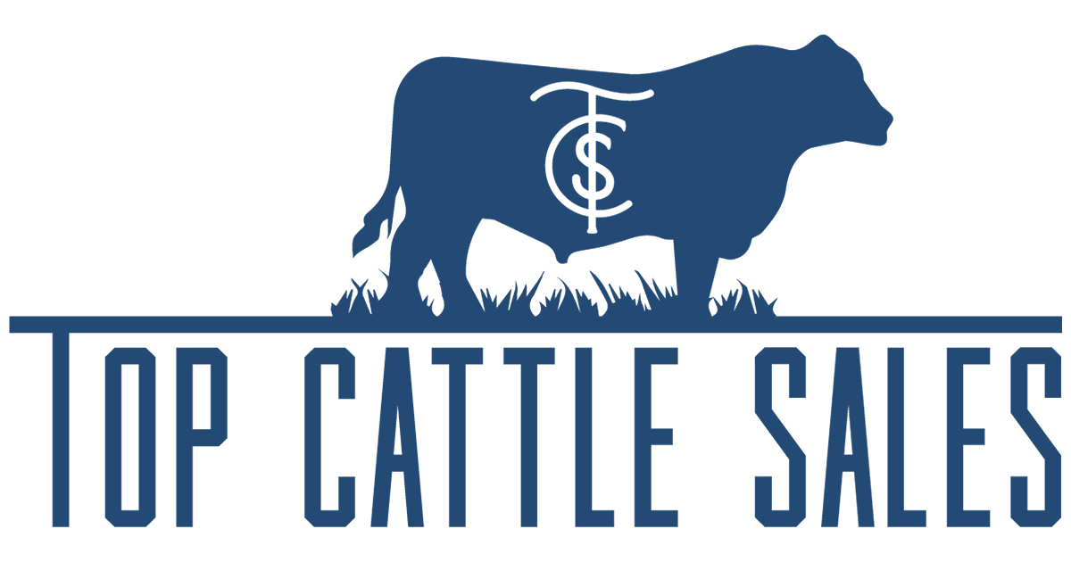 Top Cattle Sales // Sell and Buy Cattle Online
